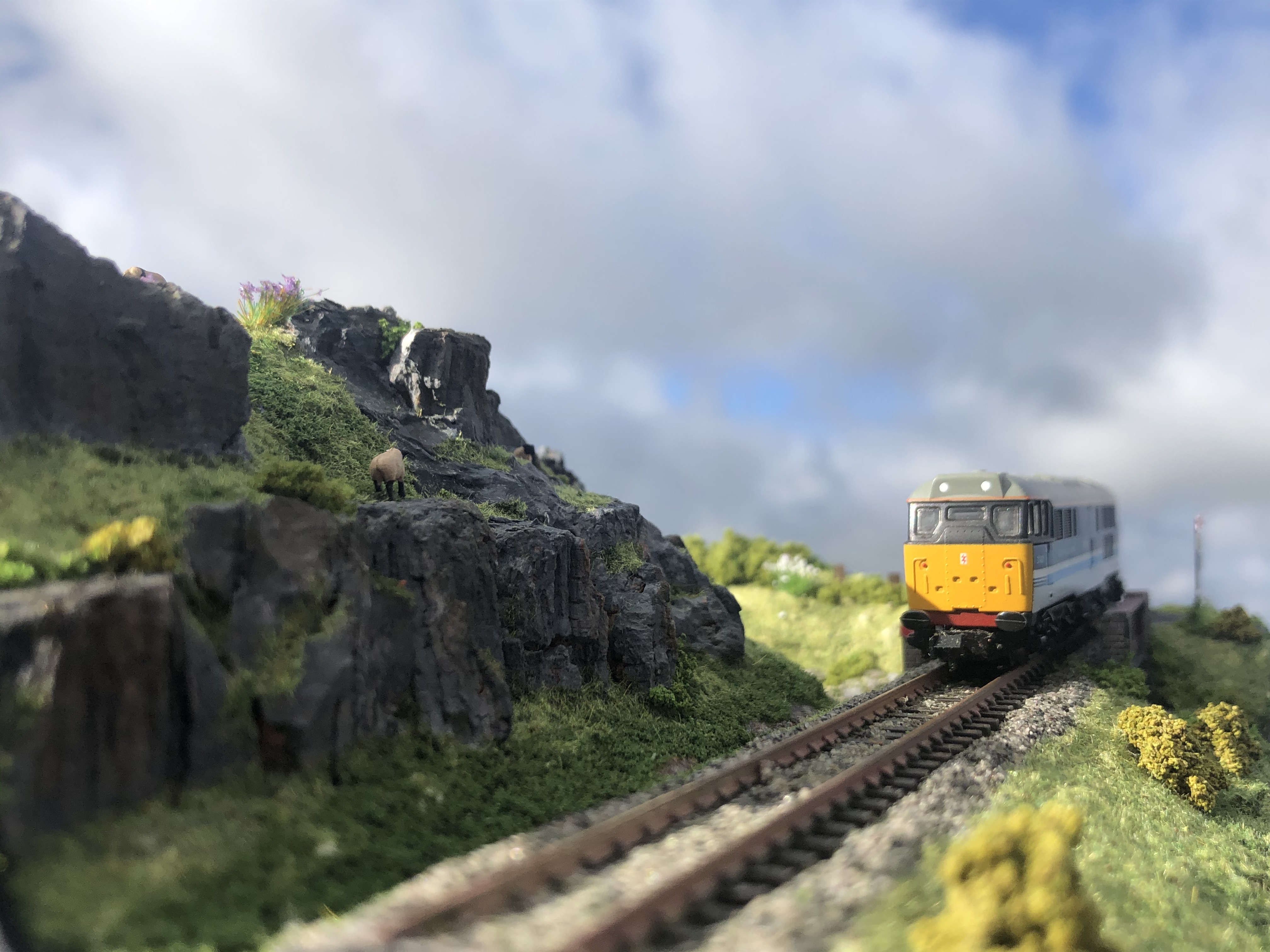 Rolling Stock Displays – Buxley Models